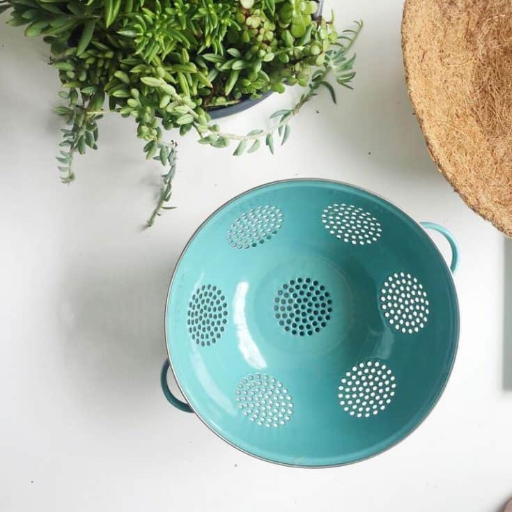 DIY Colander Planters - Pretty Providence