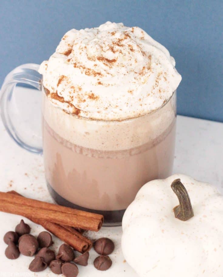 Pumpkin Spice Hot Chocolate - Ready in 10 Minutes!