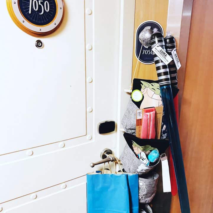 Fish Extenders Disney Cruise: Everything You Need to Know! - Pretty ...