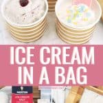 Ice Cream in a Bag