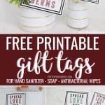 Spread Love, Not Germs - Free Printable Gift Tags - Pretty Providence