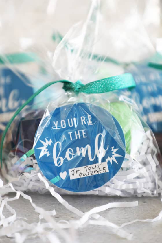 Bath Bomb Gifts with Free Printable Tags - Pretty Providence