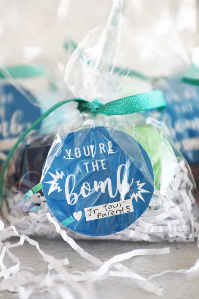 Bath Bomb Gifts with Free Printable Tags - Pretty Providence