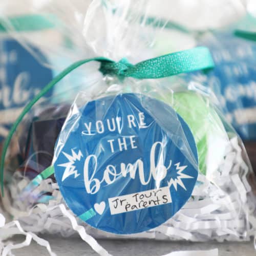 Bath Bomb Gifts with Free Printable Tags - Pretty Providence