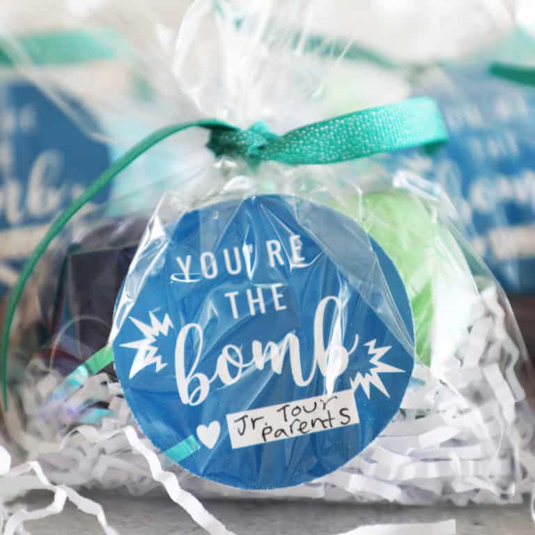 Bath Bomb Gifts with Free Printable Tags - Pretty Providence